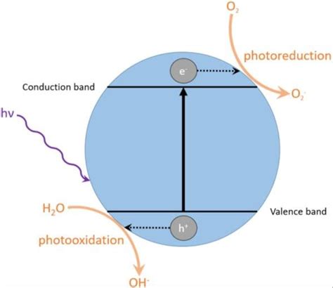 Schematic Of The Photocatalytic Effect In TiO With The Production Of Download Scientific