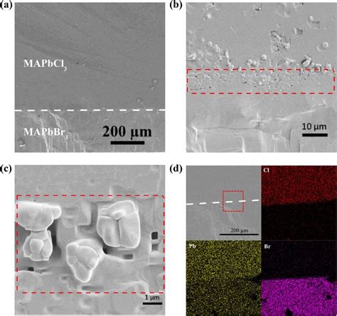 A Cross Section Sem Image B And C High Resolution Sem Images And