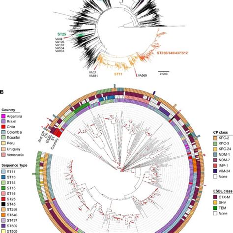 Pdf Population Genomics Resistance Pathogenic Potential And Mobile Genetic Elements Of