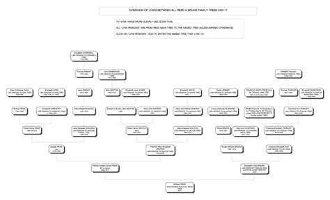 Relationships Between Trees