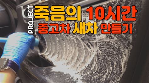 세차 10시간 하고 다음 날 못 일어났다 ㅋㅋ 팔콘 듀얼 무선 폴리셔 Youtube