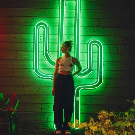 Farah Zeynep Abdullah Detaylı Biyografi Negiyer