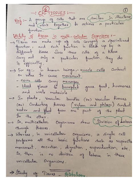 Tissueslecture Notes Pdf