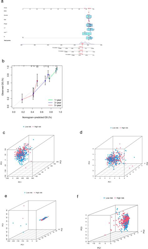 construction and validation of the nomogram a 1 3 and 5 year