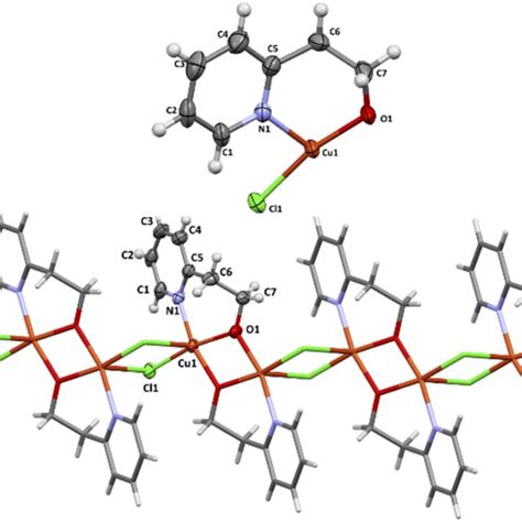 The Asymmetric Units Top And One Dimensional Coordination Chain Download Scientific Diagram