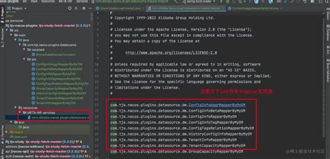 nacos 达梦 dameng 数据源 插件 开发（不用改源码，仅扩展插件包）nacos 2 2 x dameng 达 掘金
