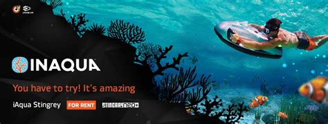 Путешествия с чаем на гвоздях Доска Садху доска с гвоздями это инструмент Так как организм