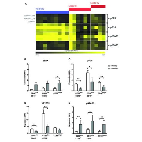 Identification Of Nk Cells In Human Pbmc Human Pbmc Are Stained And Download Scientific