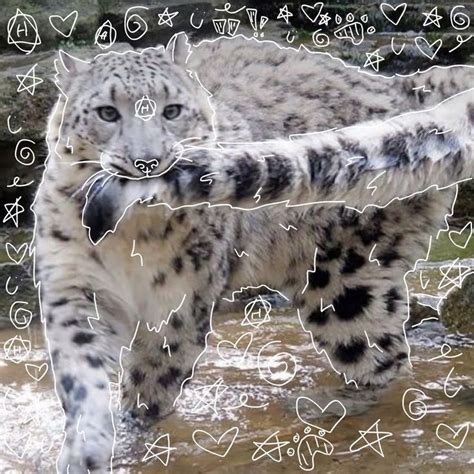 ꧁🍃𝚃𝚠𝚒𝚡𝚒🍃꧂ Youtube