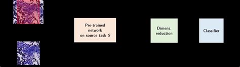 Feature Extraction From Pre Trained Convolutional Neural Networks Download Scientific Diagram