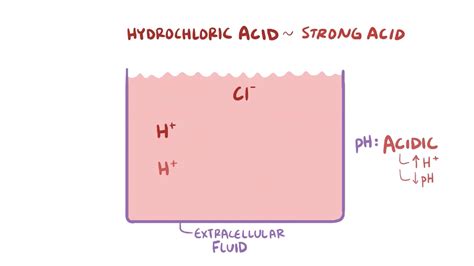 Physiologic Ph And Buffers Video Causes Meaning Osmosis