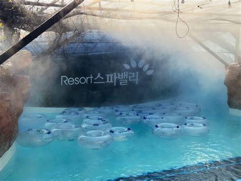대구 워터파크 가창 스파밸리 겨울 온천수 후기 네이버 블로그