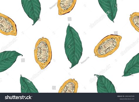 23 321 Cocoa Beans Design Images Stock Photos Vectors Shutterstock