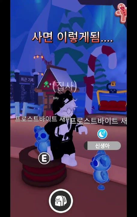 입양하세요 겨울 펫 현황 로블록스입양하세요 Youtube