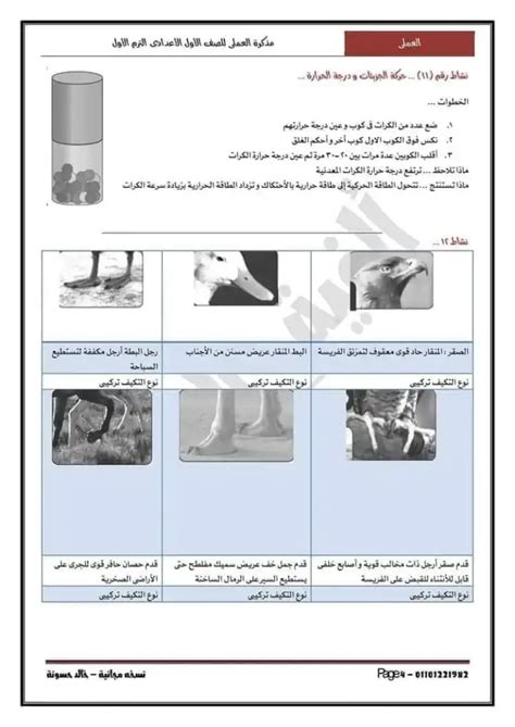 امتحان علوم عملى الصف الأول الإعدادى الترم الأول Pdf شبابيك