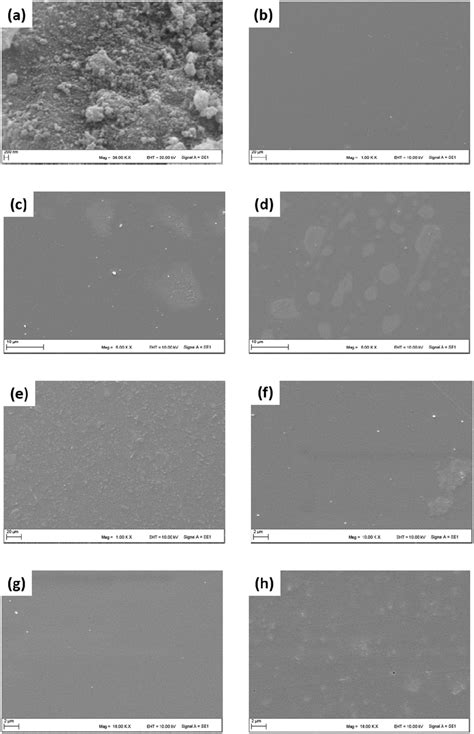 Sem Micrographs For A Tio2 Nanoparticles B Pure Pva C Pt D Ptc5 E Download Scientific