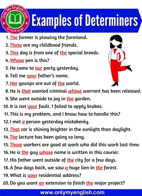 Examples Of Determiners In English Grammar English Vocabulary Words