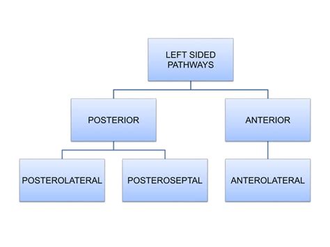 Localization Of Wpw Accessory Pathway By Surface Ecg Ppt
