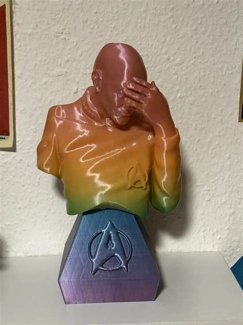 Facepalm Picard By Teambreak Makerworld
