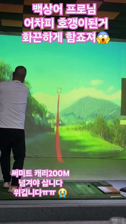 백상어 프로님 호갱이됐당😱골프골프존스크린골프nx골프존cc필드필드골프필드레슨웨지퍼터아이언비거리골프레슨숏게임숏아이언드라이버롱아이언우드유틸