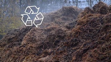 Compost Heap With Steam Stock Video Video Of Environment 309950309