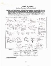 Pre Lab Complete Pdf Course Hero