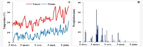 Daily Maximum Tmax And Minimum Tmin Temperatures A And