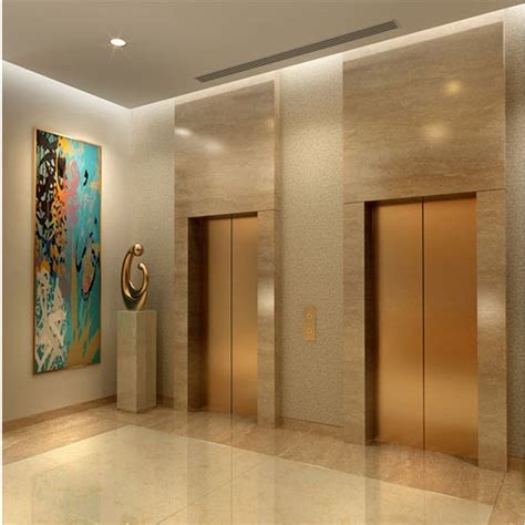 Commercial Passenger Elevator At Rs 680000 Mild Steel Passenger