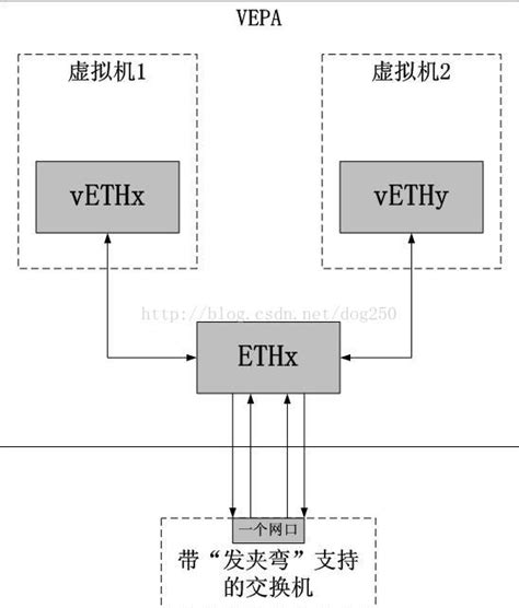 图解几个与linux网络虚拟化相关的虚拟网卡 veth macvlan macvtap ipvlan csdn博客