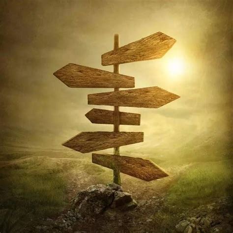 选择的悖论（为什么更多反而是更少） 知乎