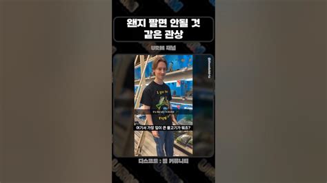 입이 큰 물고기로 뭔가 하려는 남자 Youtube