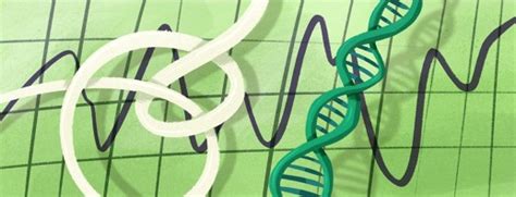 What Are The Differences Between COPD And Asthma