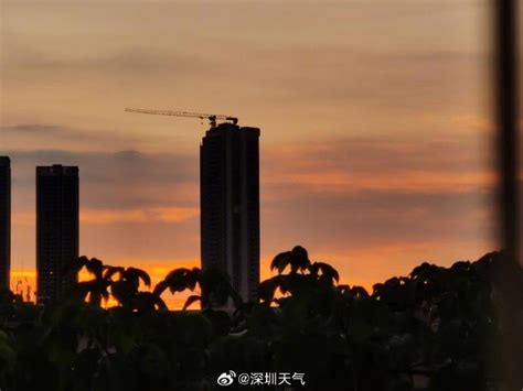 热҈热热҈热！台风“杜苏芮”最新动向！对深圳的影响是澎湃号·媒体澎湃新闻 The Paper
