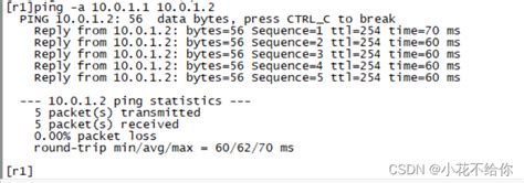 实验二（一）：ipv4编址及ipv4路由基础实验 Csdn博客