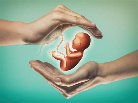 In Vitro Fertilization Ivf Treatment Procedure Success Rate And Risk