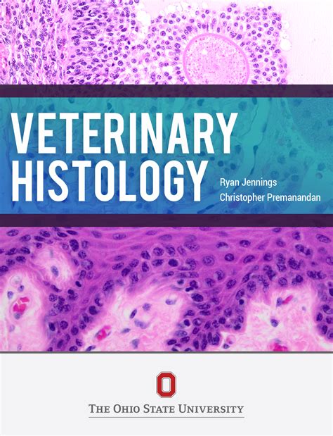 Thyroid Gland Veterinary Histology