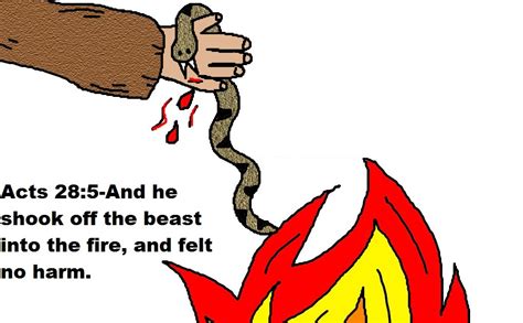 Church House Collection Blog Apostle Paul And Viper