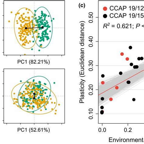 Long‐term Evolution Experiment Under Variable Environmental