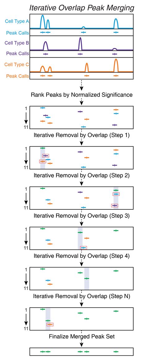 12 1 The Iterative Overlap Peak Merging Procedure Archr Robust And Scaleable Analysis Of