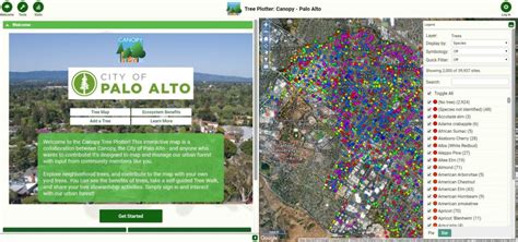 Babe Tree Care Survey Canopy Canopy