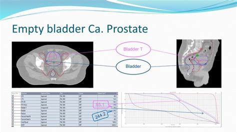 BLADDER PROTOCOL IS IT NECESSARY PPT