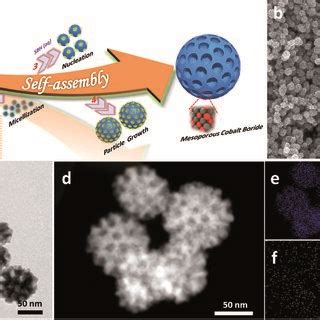 Detailed Structure Characterizations Of The A CoB X A Small Angle Download Scientific