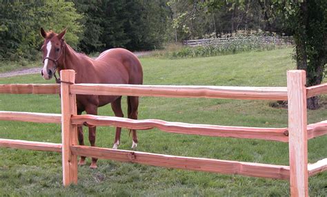Split Rail Cedar Fencing Lions Garden