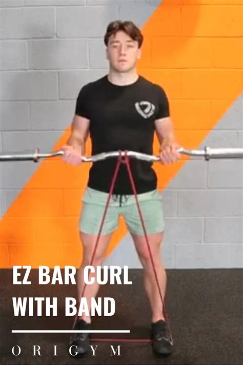 Ez Bar Curl With Band Artofit