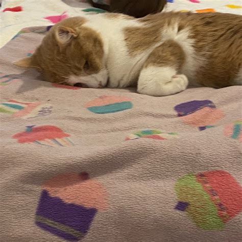 Catherine Stanley Youtube