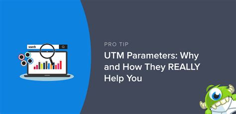 The Beginners Guide To UTM Parameters Track Your Traffic Like A Pro OptinMonster