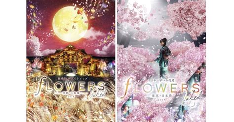 速報展現季節之美的精彩光雕秀FLOWERS BY NAKED京都東京二地開跑 樂吃購日本