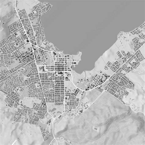 Rotorua Figure Ground Vector Map Boundless Maps