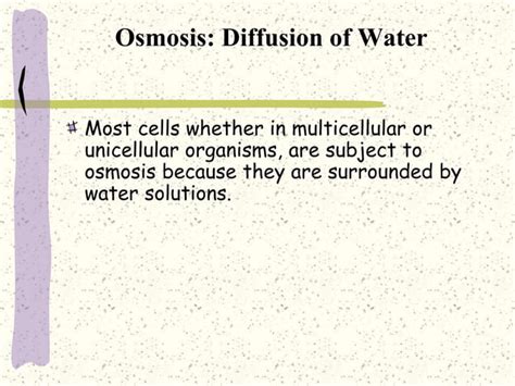 Osmosis Diffusion Active Transport Ppt