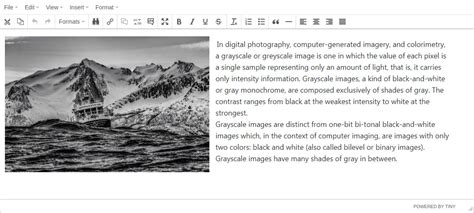 Ckeditor Or Tinymce Versions Comparison N1ed